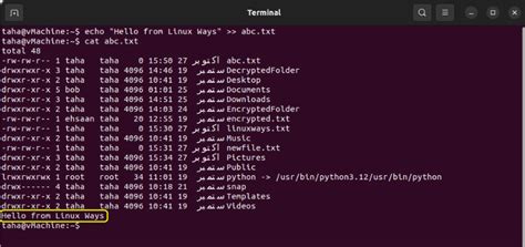 How To Save Terminal Output To A File In Ubuntu Linuxways