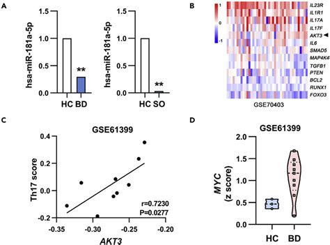 The Mycmir 181a 5pakt3 Pathway In Uveitis Patients A Downregulated