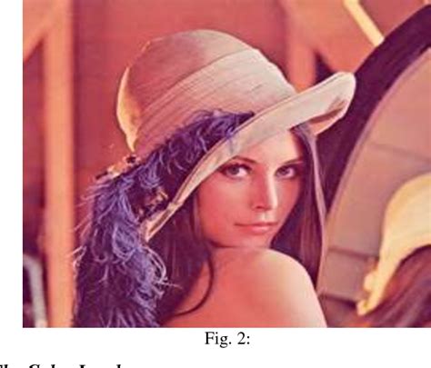 Figure 2 From Visual Cryptographic Scheme For Color Images Using Threshold Level Determination