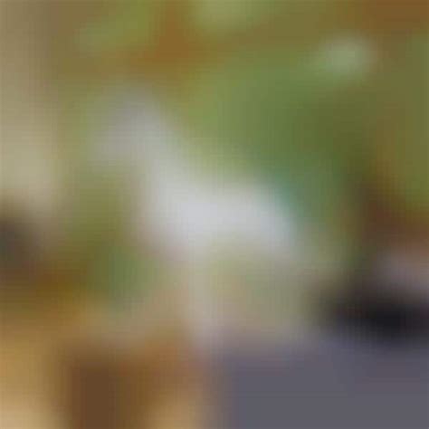 Novelty Inflatable Unicorns Giant Inflatable Unicorn