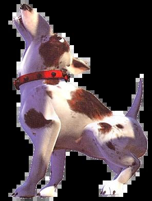 Scud Pixar Wiki Fandom