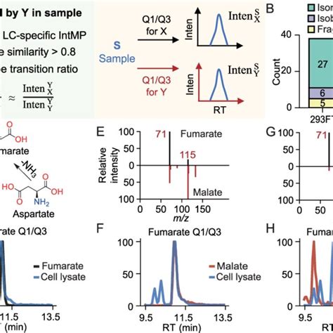 Metabolite Interference Analysis In Biological Samples A Schematics