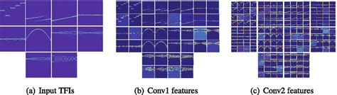Visualization Of Feature Maps In Different Cnn Layers A The Input Tfis