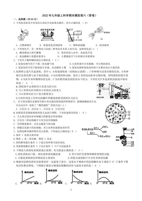 2022年九年级上科学期末模拟卷六 含答案 21世纪教育网