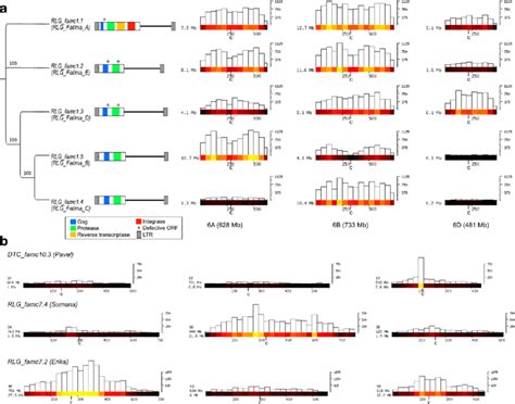 Distribution Of Different Subfamilies In The A B And D Subgenomes A