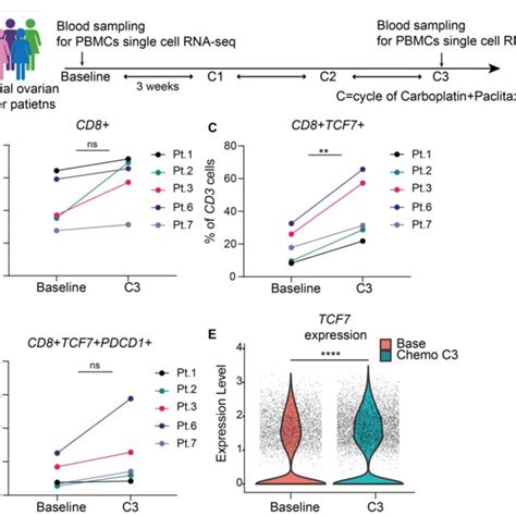 Carbotaxol Expands Tcf7cd8 T Cells In Ovarian Cancer Patients