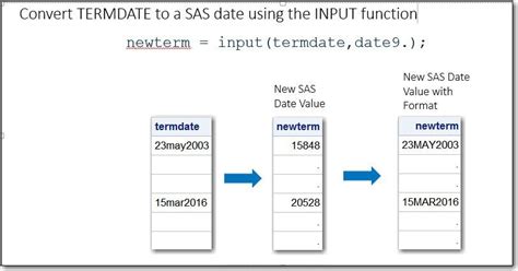 Top 10 Sas Functions