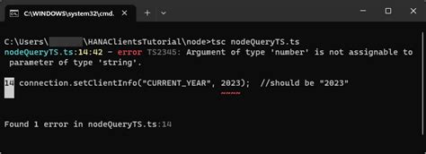 Connect Using The SAP HANA Node Js Interface SAP Tutorials