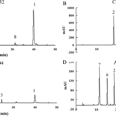 The Peaks Of Carotenoids In The Hplc Chromatogram Download Scientific