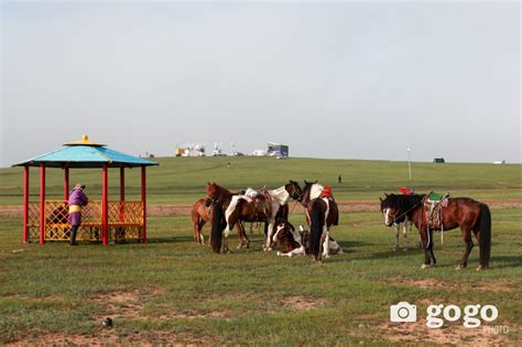 Малын тоо толгойн албан татварын тухай хуулийн хэрэгжилтийн хэлэлцүүлэг болно