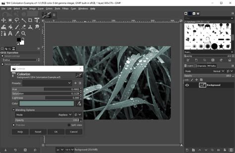 How To Colorize A Black And White Photo In GIMP Quick Guides