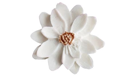 코코넛 밀크 맛 Sam Pan Nee 전통 태국 수공예 스낵 격리 클리핑 경로가 있는 흰색 배경 파스텔 핑크 정통 왕실 유명