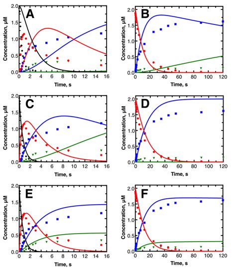 Results Of Kinetic Modeling To Explain Pre Steady State Results Graphs Download Scientific