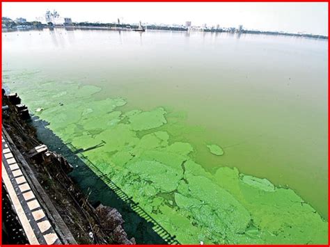 Life On Earth या विषाणूमुळे पृथ्वीवरील जीवांच्या निर्मितीचा झाला विकास बनारस हिंदू