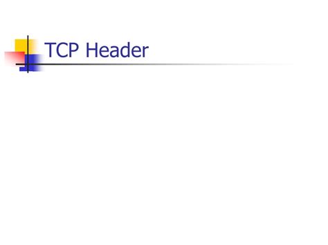 PPT TCP IP Header PowerPoint Presentation Free Download ID 2887689