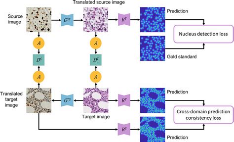The Overview Of The Proposed Low Resource Uda Method For Cross Modality