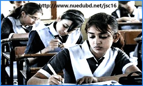 Mass Education Essay