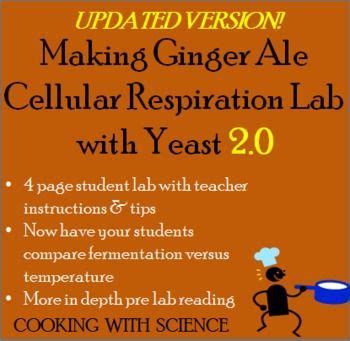 Alcoholic Fermentation In Yeast Lab