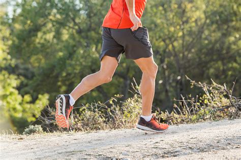 피트 니스 개념에가 배경에서 시골에서 교육 운동 조깅에 길에서 오르막 실행 찢어진 운동과 근육 다리 러너 스포츠 남자 가을에 대한 스톡 사진 및 기타 이미지 Istock