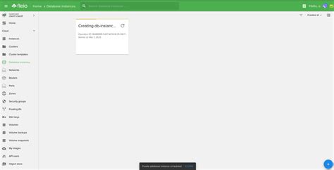 enduser cloud database instances — fleio 2025 03 documentation