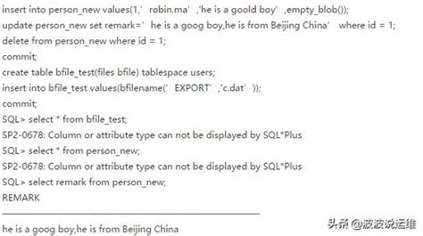 定义blob类型 oracle数据库lob大对象数据类型字段总结，值得收藏 csdn博客