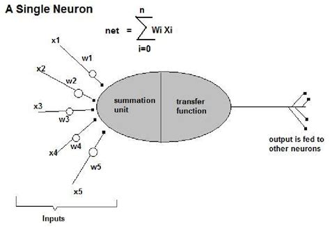 modelling of daily reference evapotranspiration using deep neural
