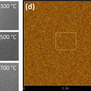 ZnO Particle Size And Surface Roughness Determination SEM Topview