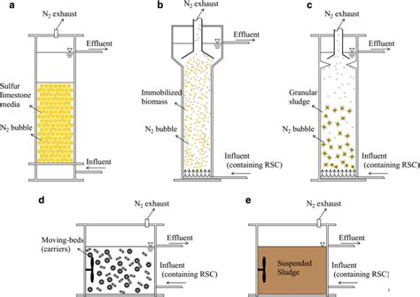 Bioreactors For Sulphur Oxidising Autotrophic Denitrification Download Scientific Diagram