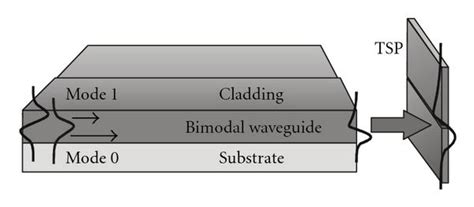 Schematic View Of The Bimodal Waveguide Sensor Device The Modes Are