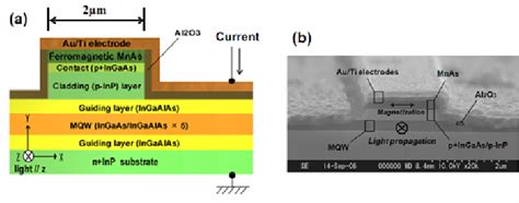 A Schematic Cross Section Of Our Waveguide Isolator For 15 μ M Tm Download Scientific