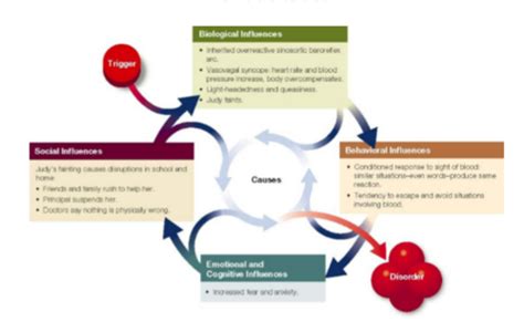 Chapter 2 Flashcards Quizlet