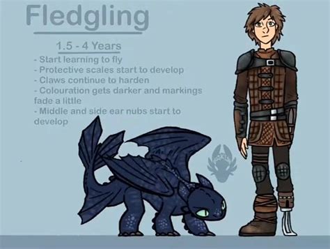 20 Toothless Anatomy Ideas In 2025 Httyd Art How Train Your Dragon