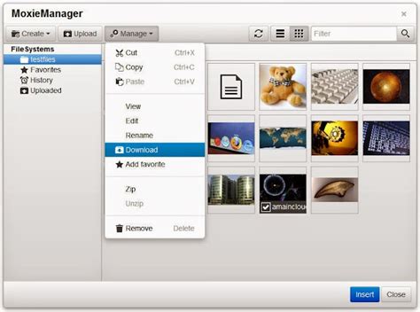 Best ASP NET File Managers FROMDEV
