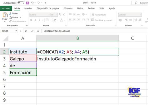 Función Concat De Excel 2019 👨‍🎓 Instituto Galego De Formación