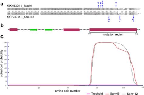 The Sequence Analysis Of Xkdw Like Protein A Sequence Alignment Of