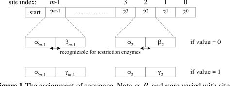 Figure 1 From Error Tolerant Minimum Finding With Dna Computing Semantic Scholar