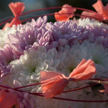 Chrysanthemum Bouquet Ideas Flower Factor