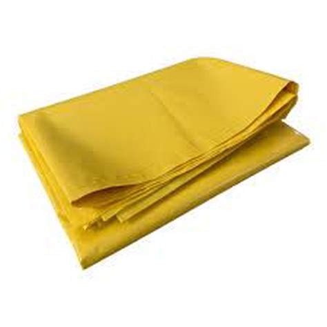 Plastik Infeksius Besar