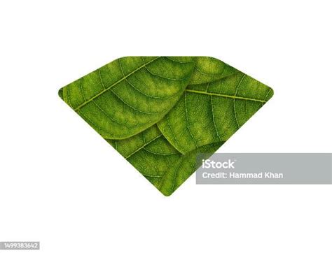 흰색 배경에 분리된 녹색 잎으로 만든 다이아몬드 기호 아이콘 3d 그림 0명에 대한 스톡 사진 및 기타 이미지 0명 3차원