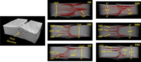 The Delamination Layers In Different Helicoidal Structures Download Scientific Diagram