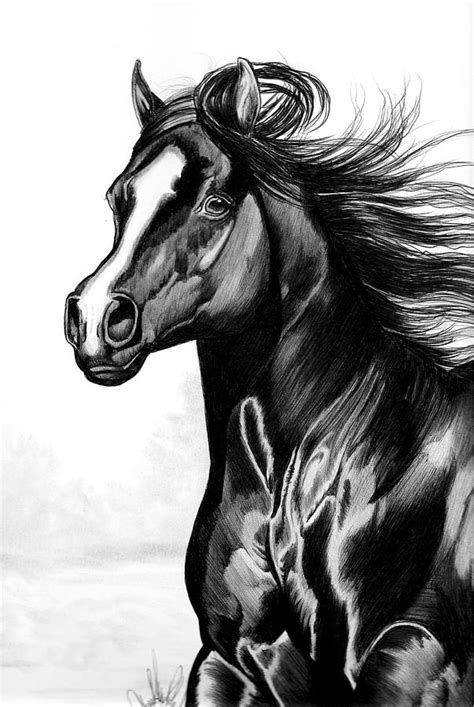 Horse Pen Drawing