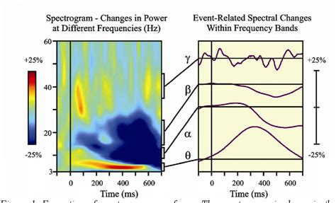Figure 1 From The Influence Of Ongoing Oscillatory Brain Activity On