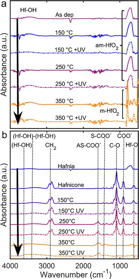 Uv Absorption Peak Uv Spectrum Of Peak Eluting At 19 15 Min Displaying A λ Max Of 256 Nm