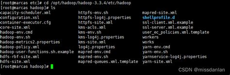 hadoop 伪分布式集群搭建 centos 伪分布式hadoop集群搭建过程 csdn博客