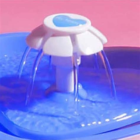 Bebedouros Limpos E Higiênicos Tigela De Gato Para Cães De Estimação