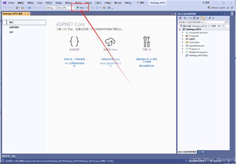 Asp Net Core 学习 （net 9） 创建 Api项目，并配置swagger及api 分组或版本net 9 Core Api Csdn博客