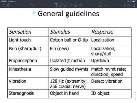 Mono And Polyneuropathies 2019 Flashcards Quizlet