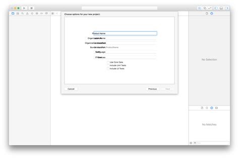 User Interface Xcode 8 UI Bug When Creating New File Stack Overflow