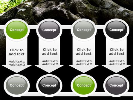 Tree Root Presentation Template For PowerPoint And Keynote PPT Star