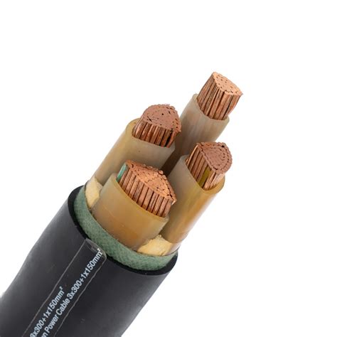 Xlpe Insulated Copper Tape Shield Power Cable China Cable Factory 06